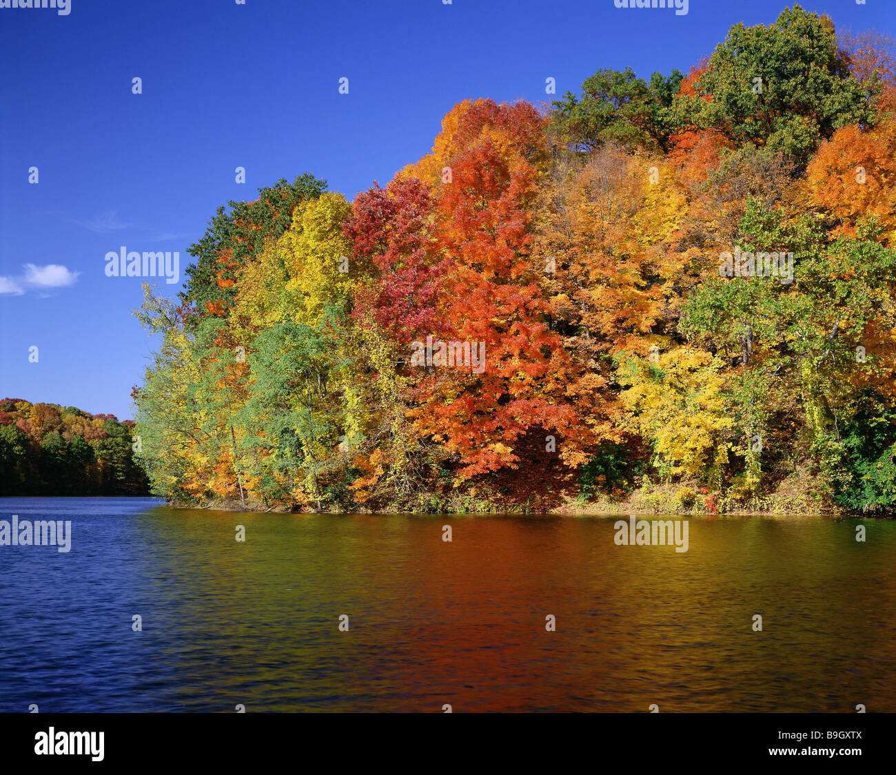 usa New England river forest autumn North America river-landscape ...