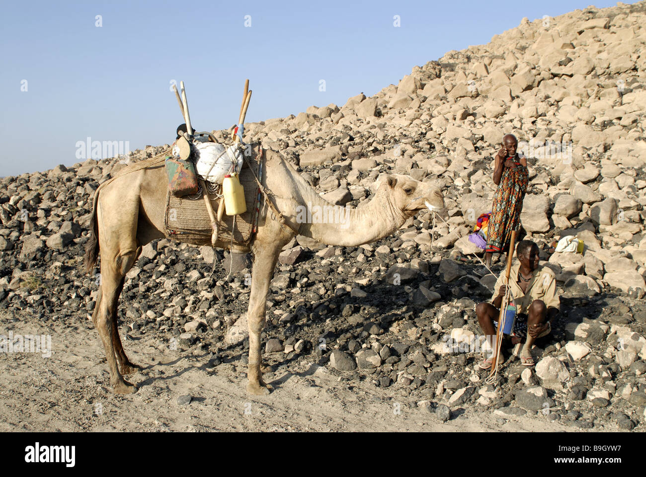 Dschibuti mountain-desert nomads camel resting Africa East-Africa ...