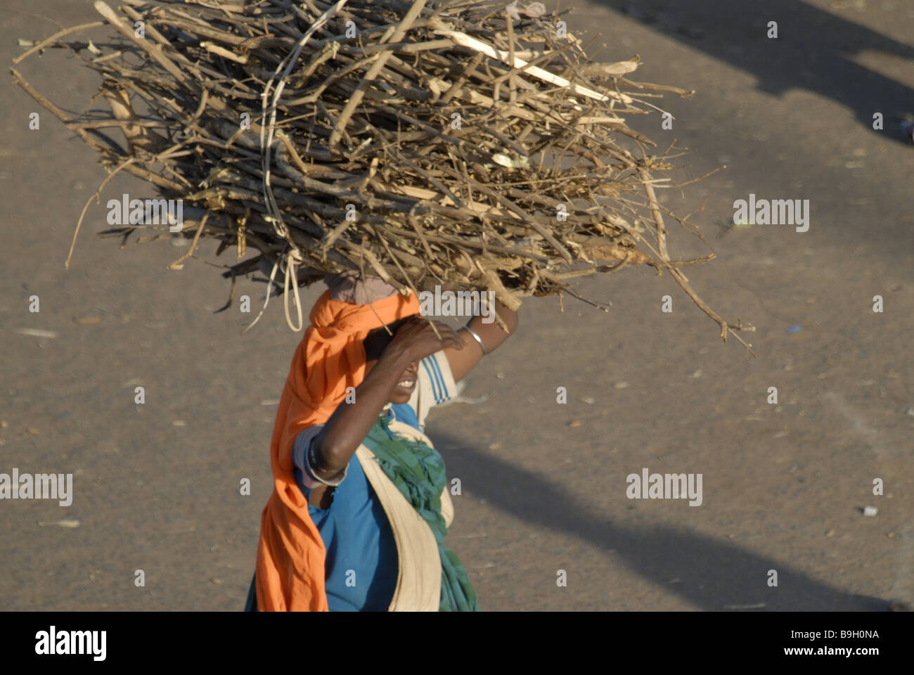 Ethiopia woman branches focused head carry detail Africa East-Africa ...