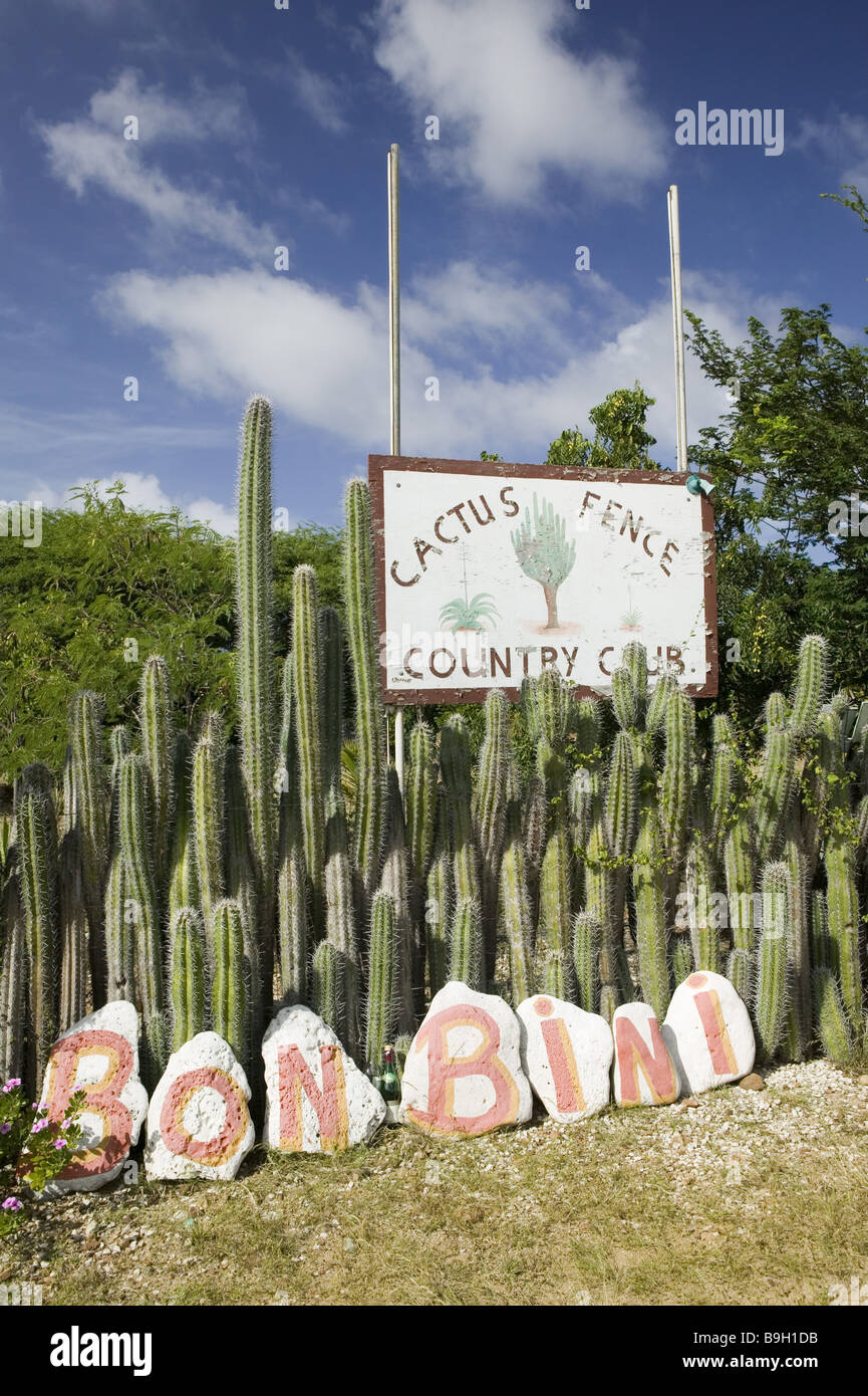 Bonaire Rincon Cactus Fence Country club sign cacti stones Bon Bini ABC ...