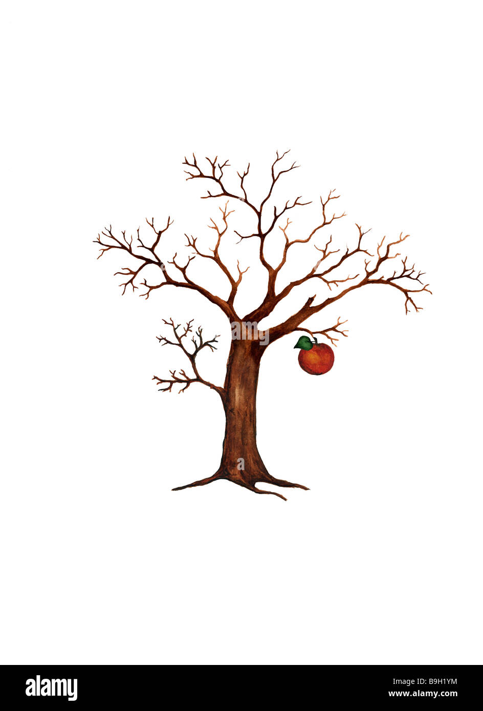 Apple tree winter illustration hi-res stock photography and images - Alamy