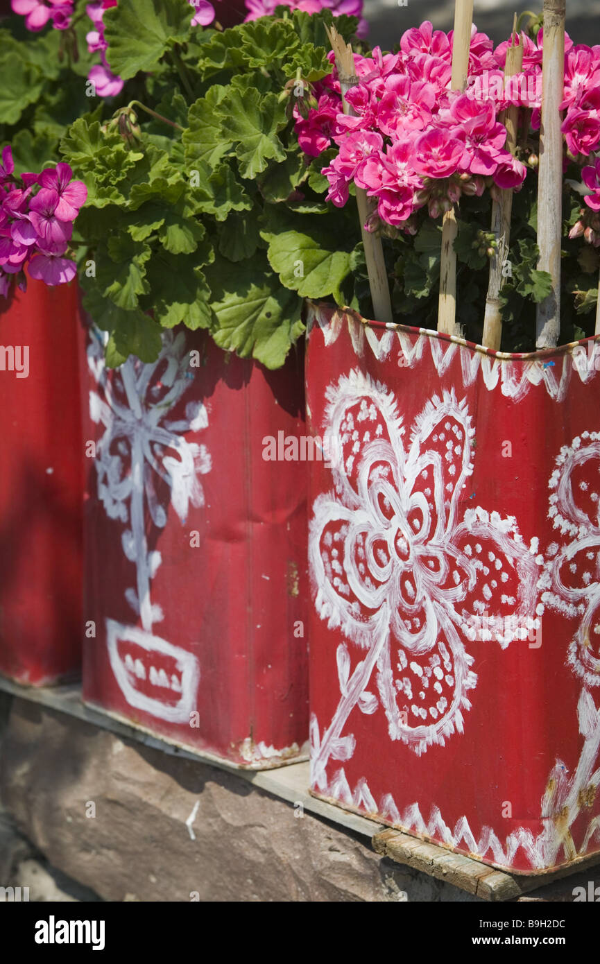 Buckets paints flowers geraniums bloom detail pail tons canister ...