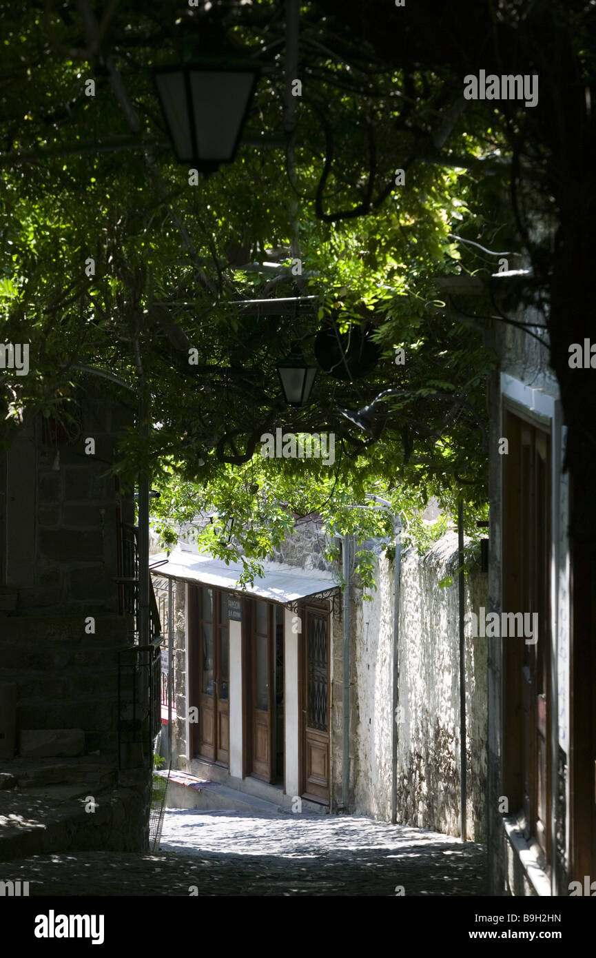 Greece island lesbos Mithymna alley climbing plants overgrown Europe ...