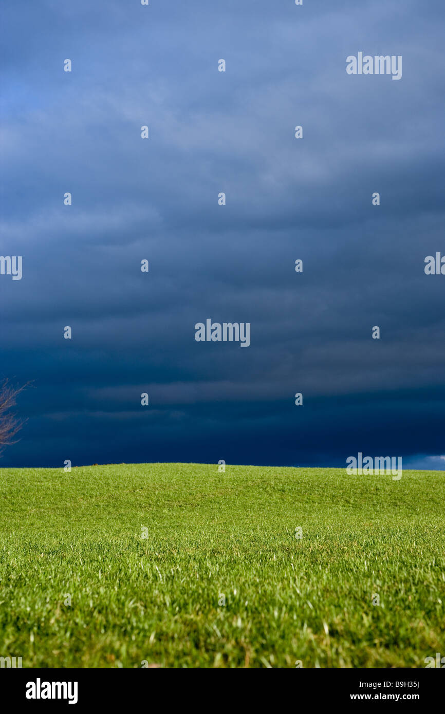 Meadow stormy atmosphere Stock Photo - Alamy