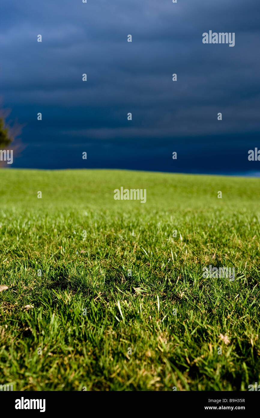 Meadow stormy atmosphere Stock Photo - Alamy