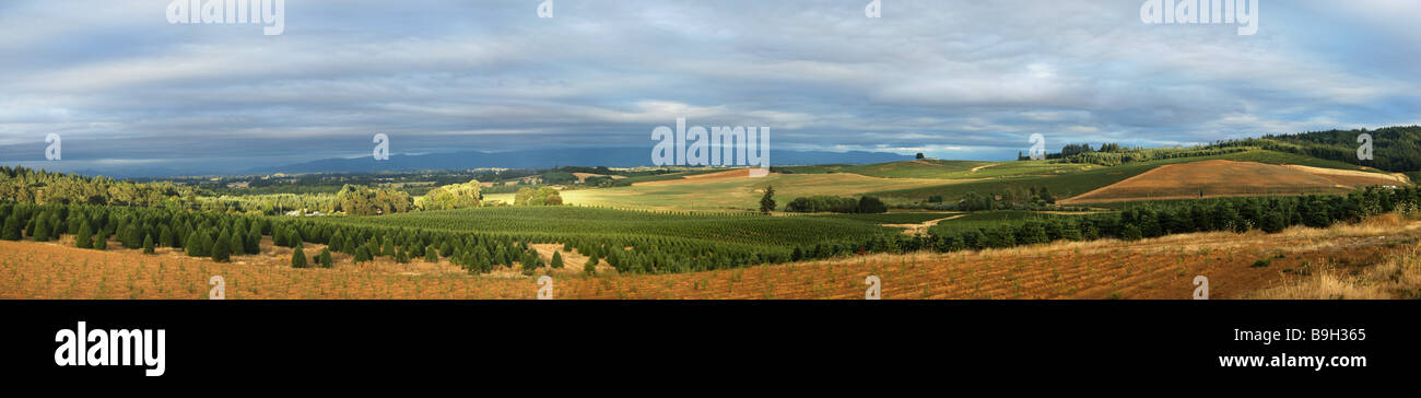 Farm panorama hi-res stock photography and images - Alamy