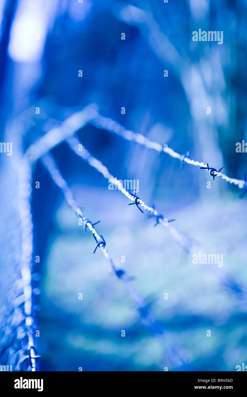 Barbed stinger hi-res stock photography and images - Alamy