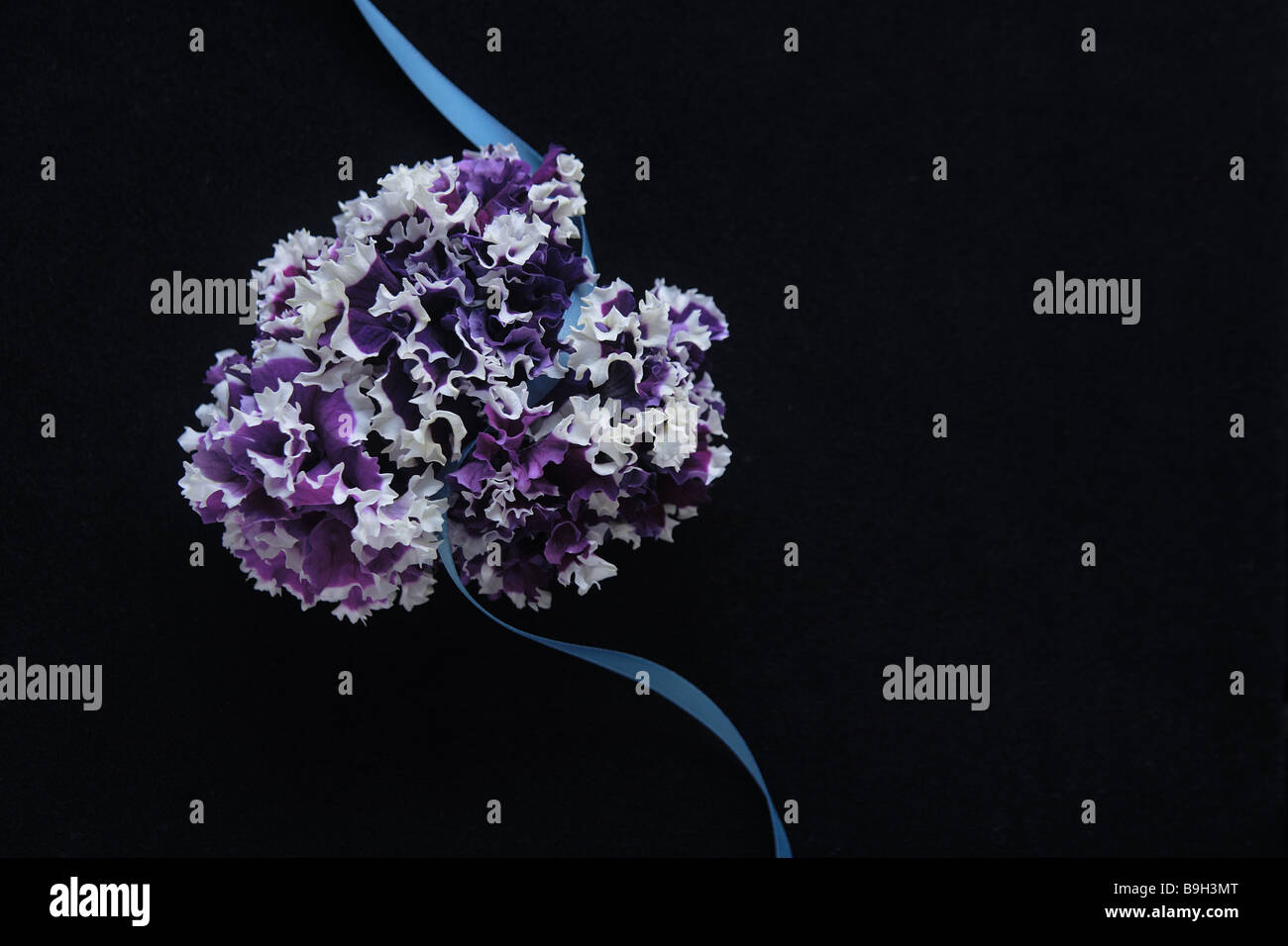 Ruffled edges hi-res stock photography and images - Alamy