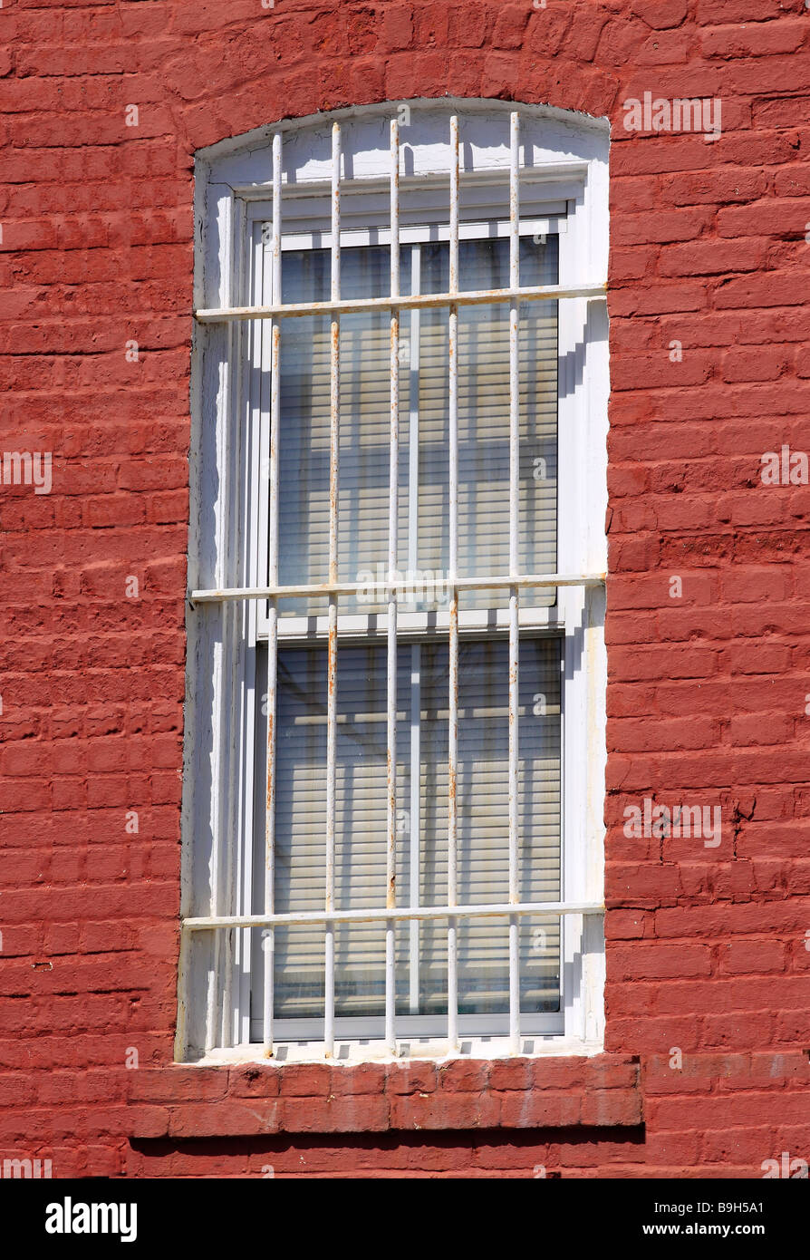 Barred Windows This Is The New Enclosure Without Windows To Keep Birds