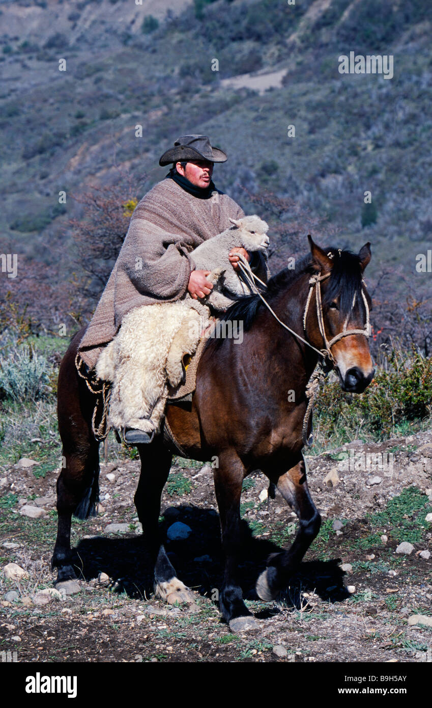 Man driving sheep hi-res stock photography and images - Alamy