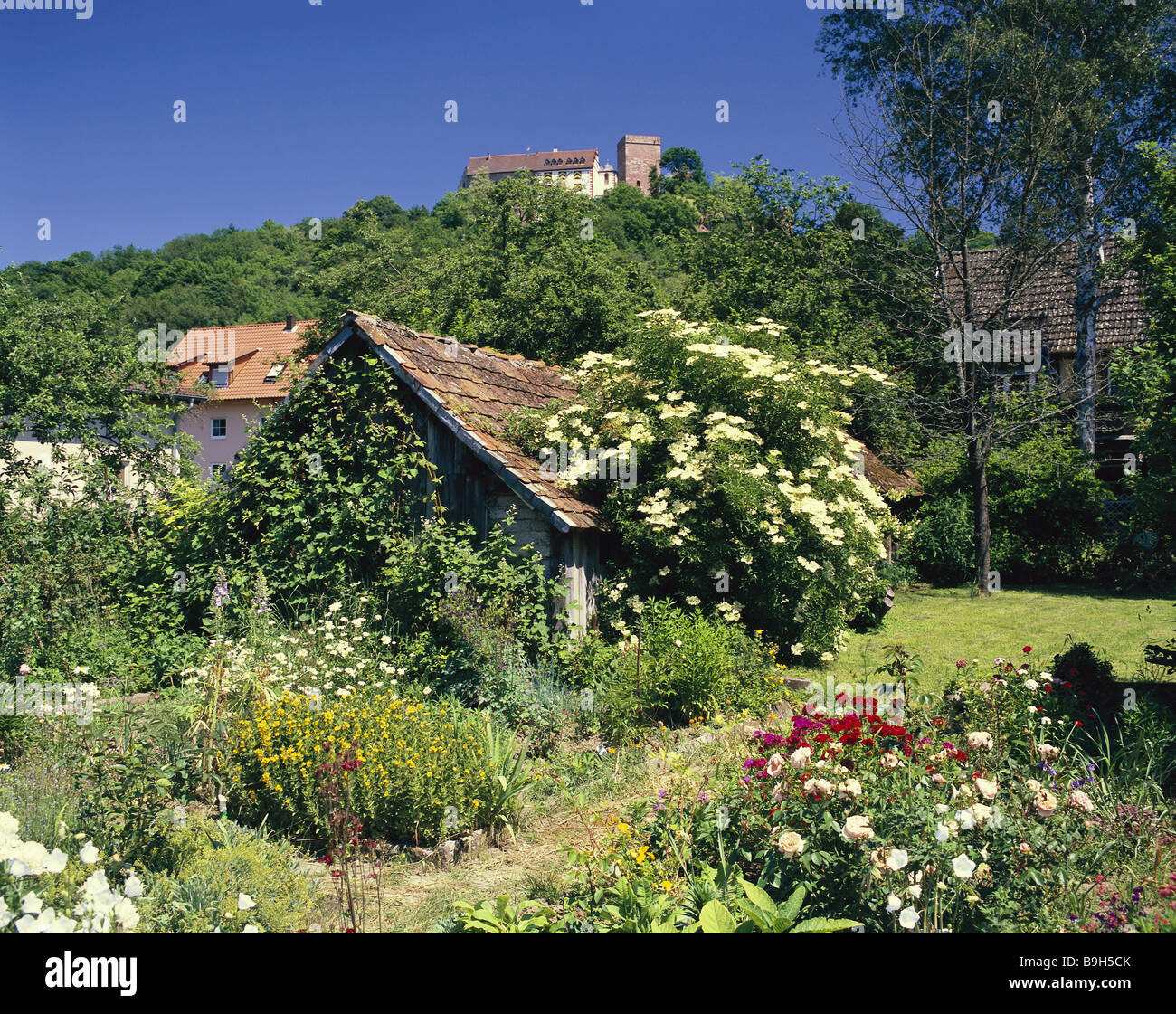 Gamburg castle hi-res stock photography and images - Alamy