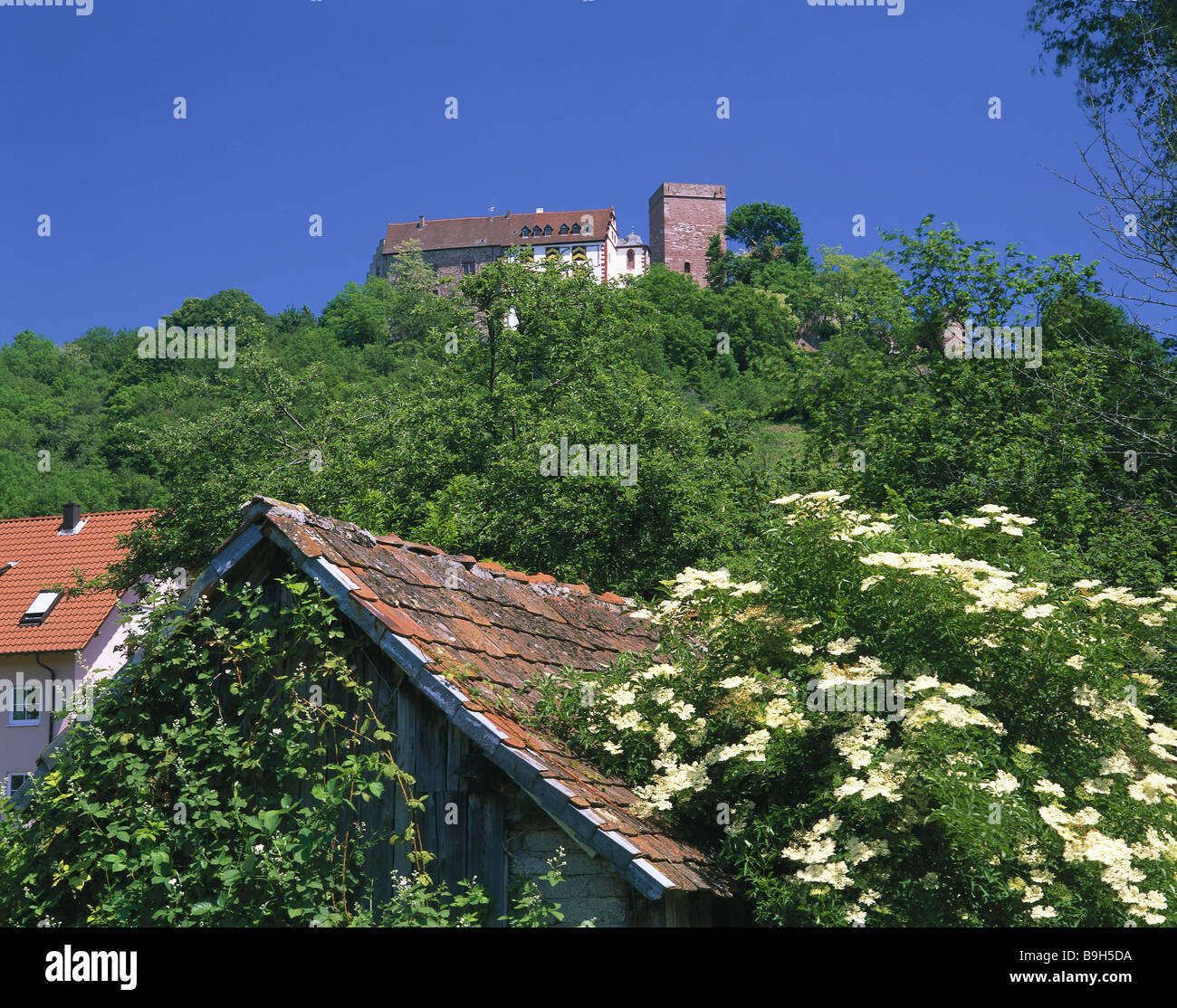 Gamburg castle hi-res stock photography and images - Alamy
