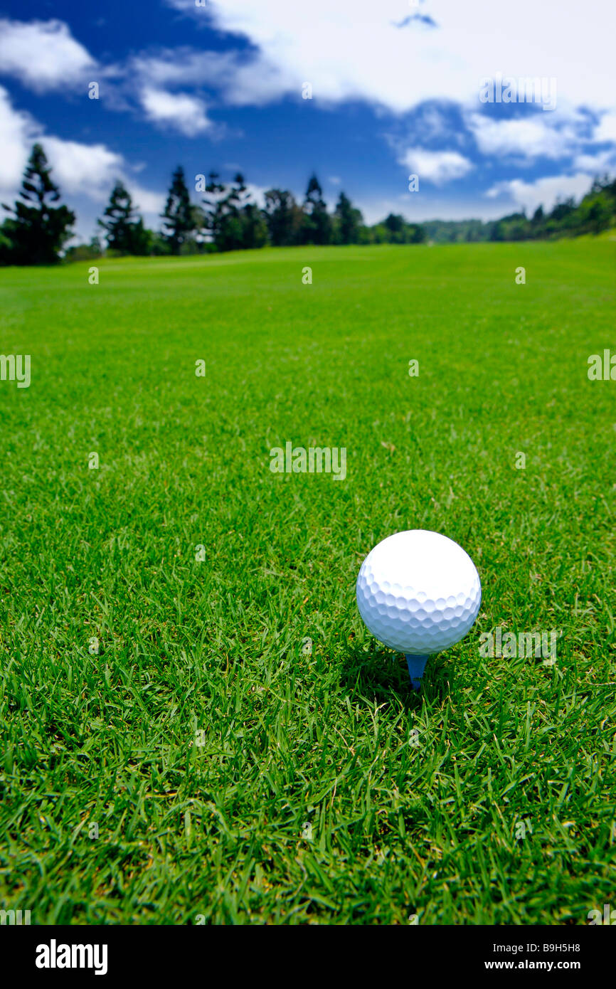 Ground view hi-res stock photography and images - Alamy