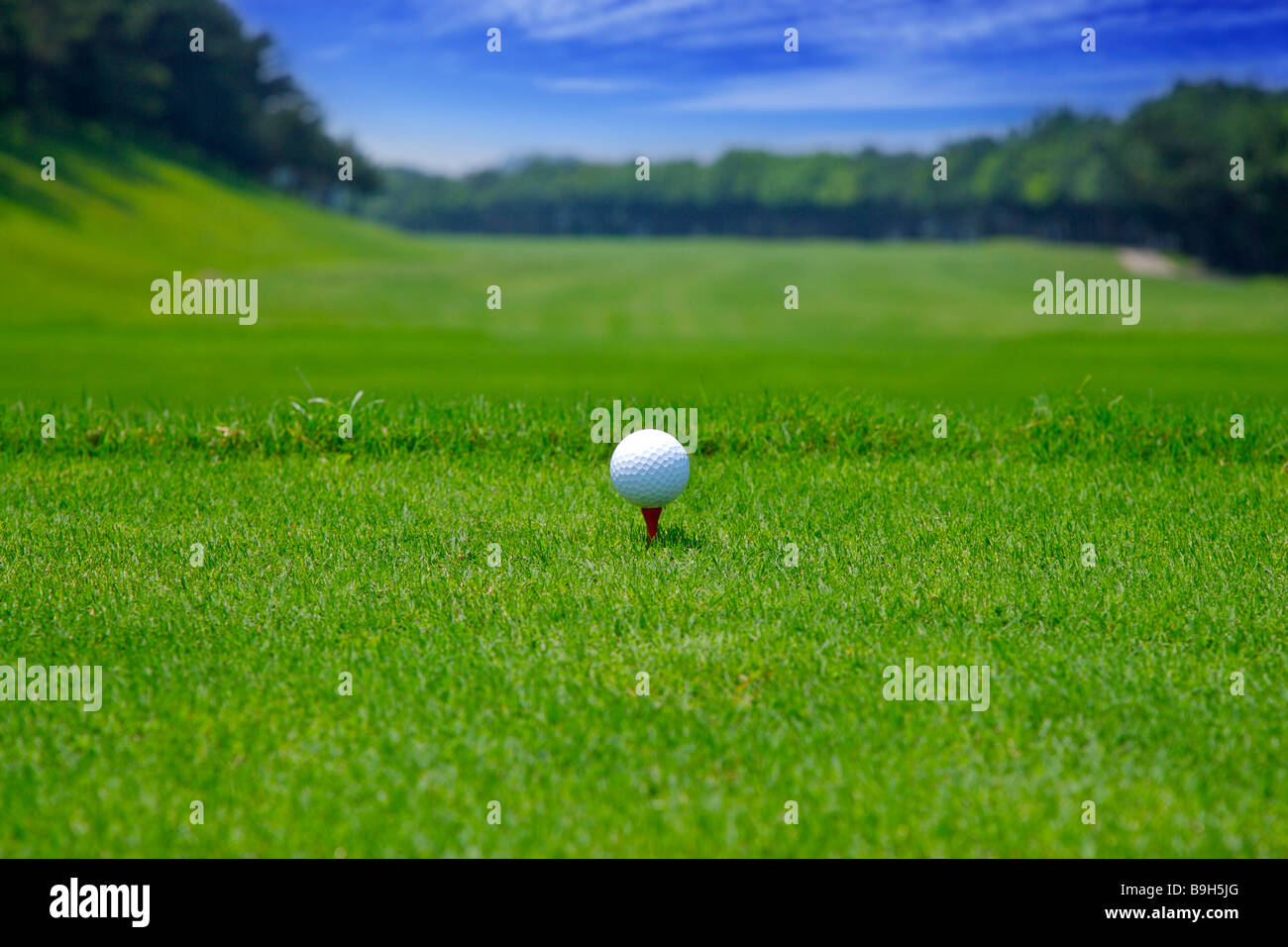 Ground view hi-res stock photography and images - Alamy