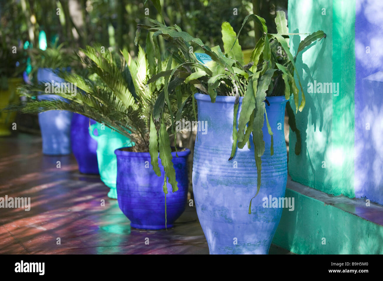 Morocco Marrakech Jardin Majorelle museum planting-pot blue turquoise ...