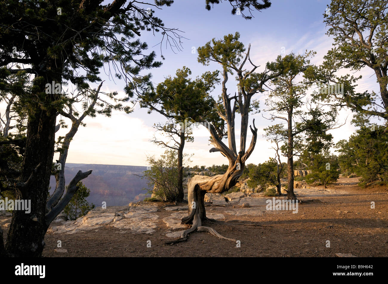 The Grand Canyon in Arizona USA one of the 7 wonders of the Natural ...