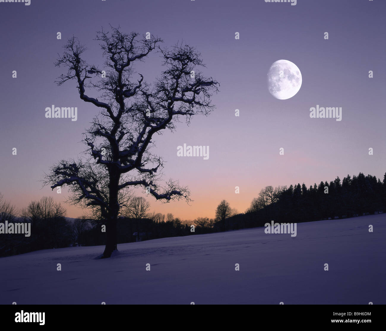 The emperor of the moon hi-res stock photography and images - Alamy