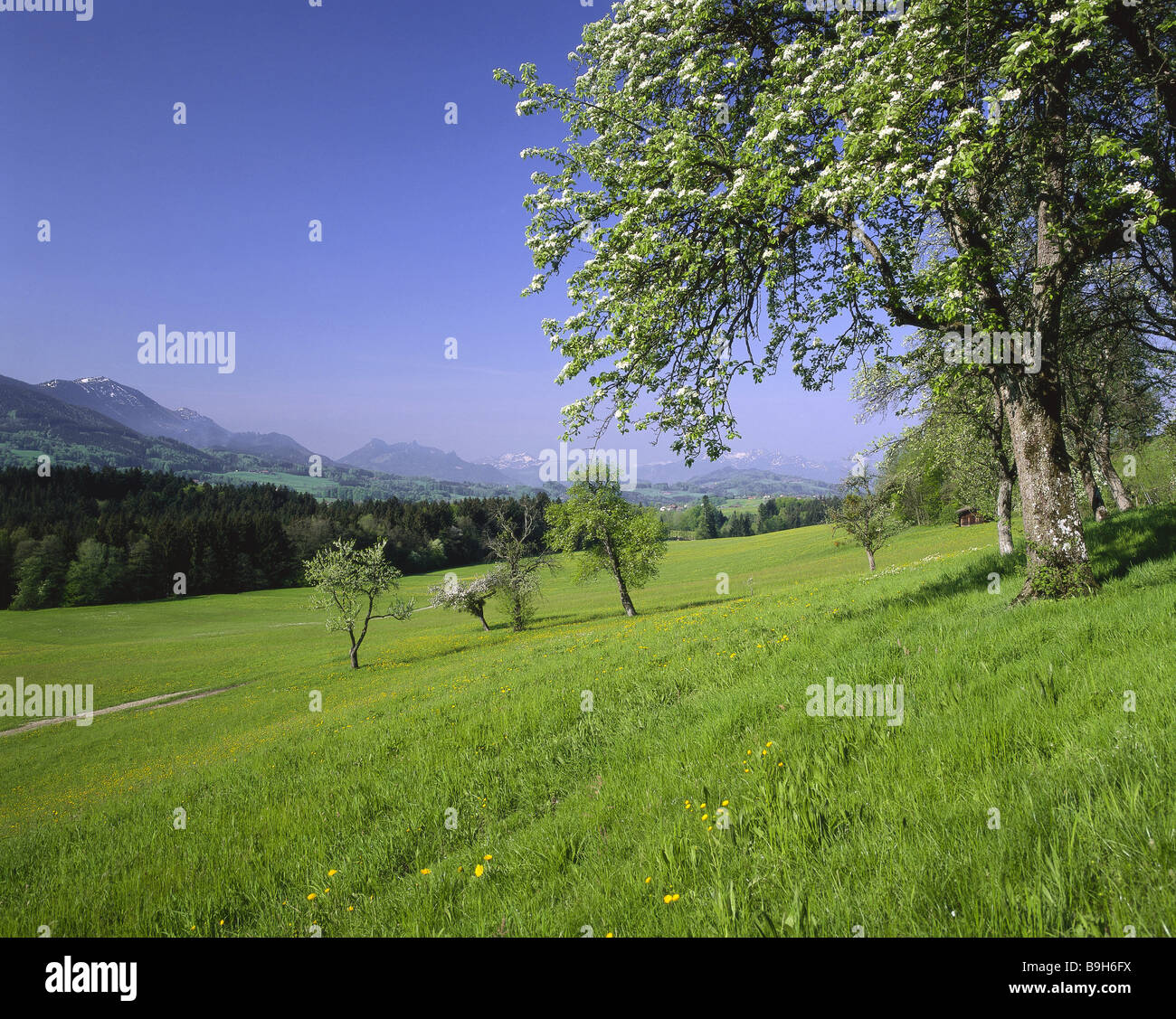 Frasdorf hi-res stock photography and images - Alamy