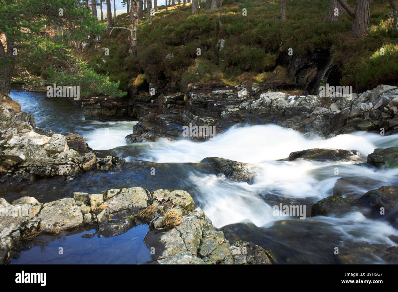 Glen quoich cairngorms hi-res stock photography and images - Alamy