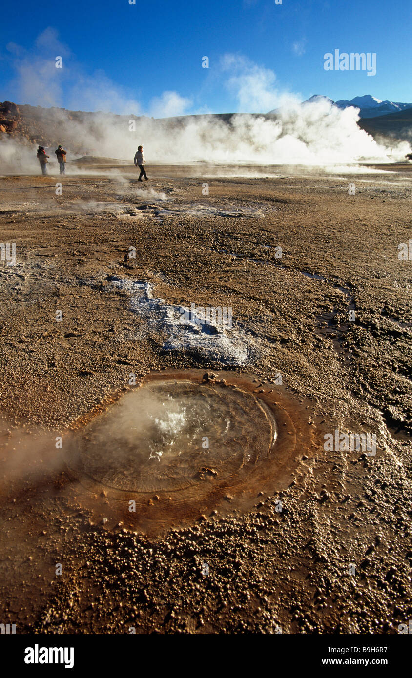 Chile, Atacama Desert. El Tatio Geysers, at 14,200 ft (4300 m), these ...