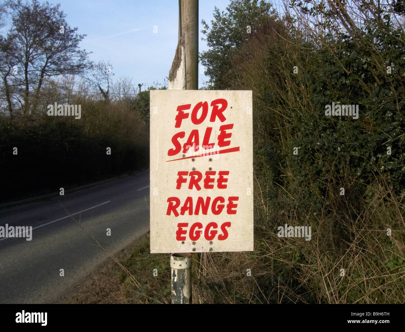 eggs for sale sign Stock Photo - Alamy