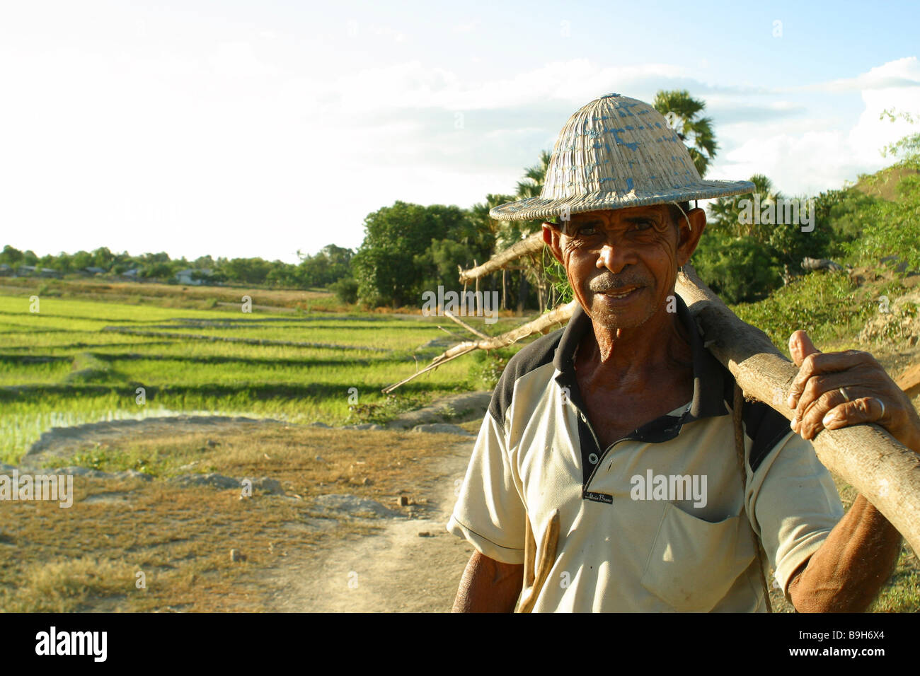 eastern-timor man paddy portrait Ages work Asia watching camera dark ...