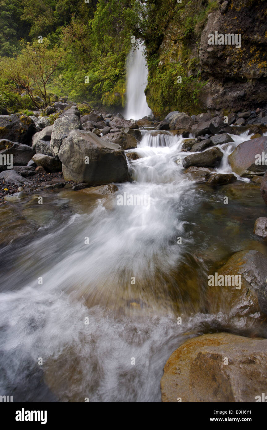 Kapuni new zealand hi-res stock photography and images - Alamy