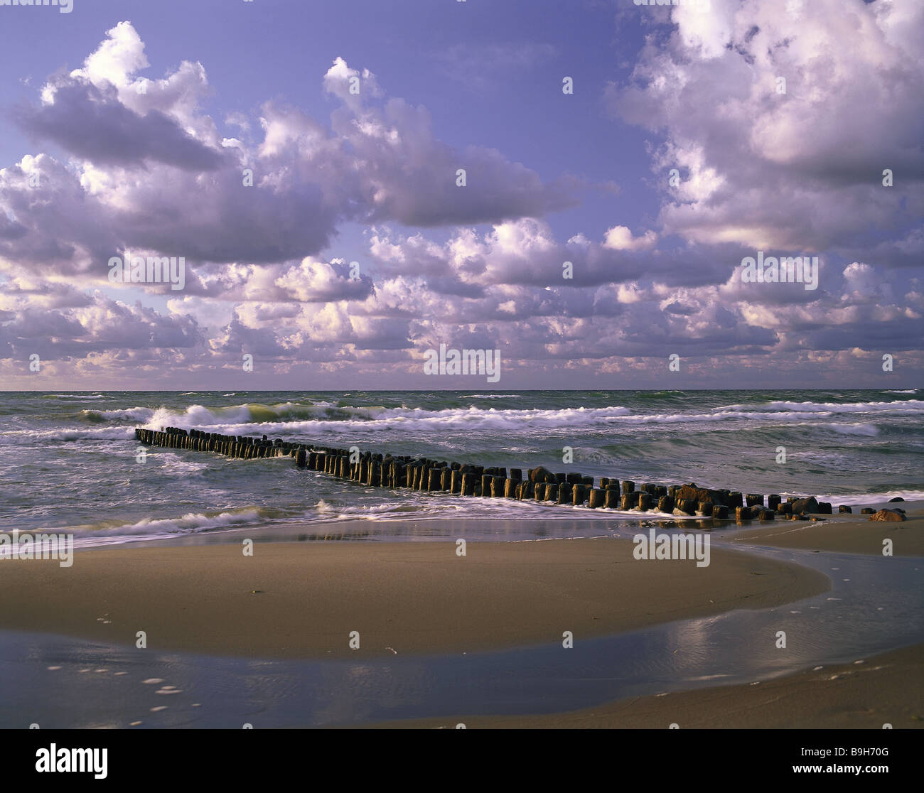 Rositten hi-res stock photography and images - Alamy