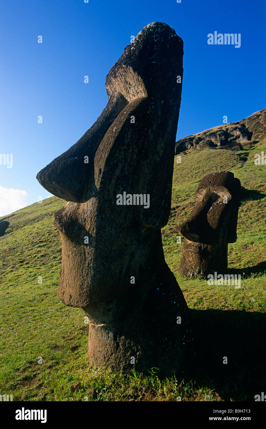 Chile, Easter Island. Moai head on a hillside at Rano Raraku,many of ...
