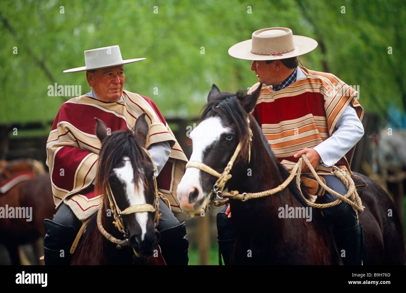 Parral chile hi-res stock photography and images - Alamy