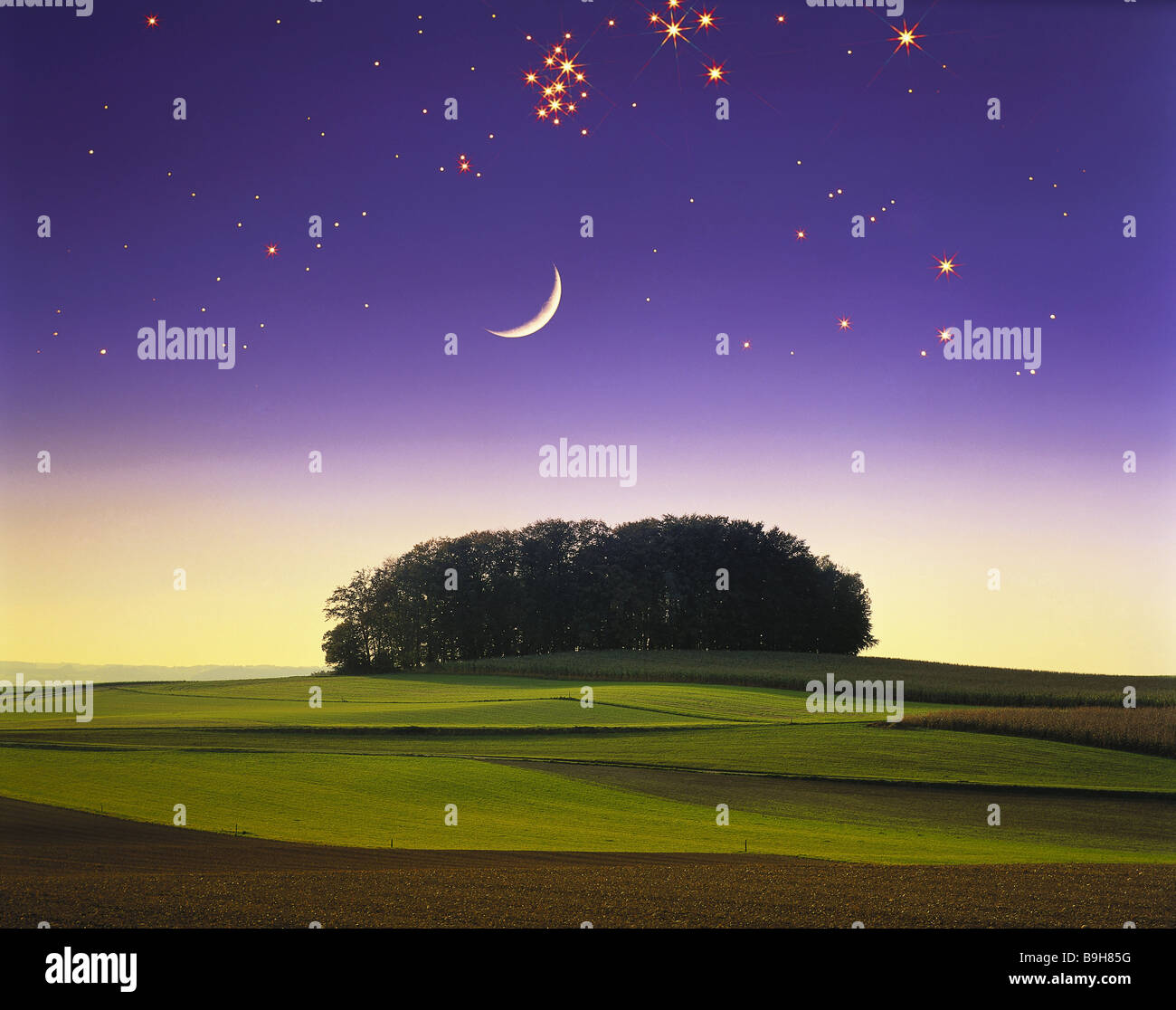 Starry fields hi-res stock photography and images - Alamy