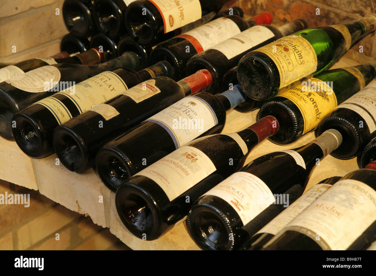 Bottles of vine in wine cellar Stock Photo - Alamy