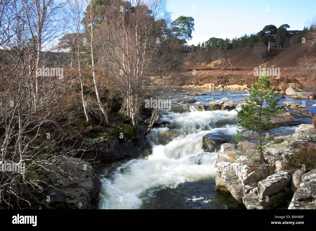 Glen quoich cairngorms hi-res stock photography and images - Alamy