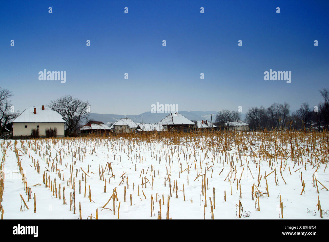 Romania Sighet field reaped winter Stock Photo - Alamy