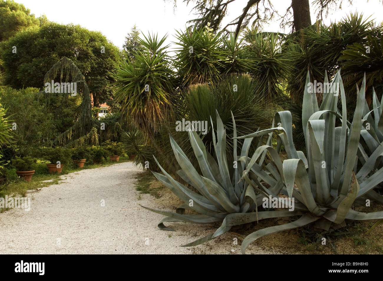 Italy Rome botanical garden Stock Photo - Alamy