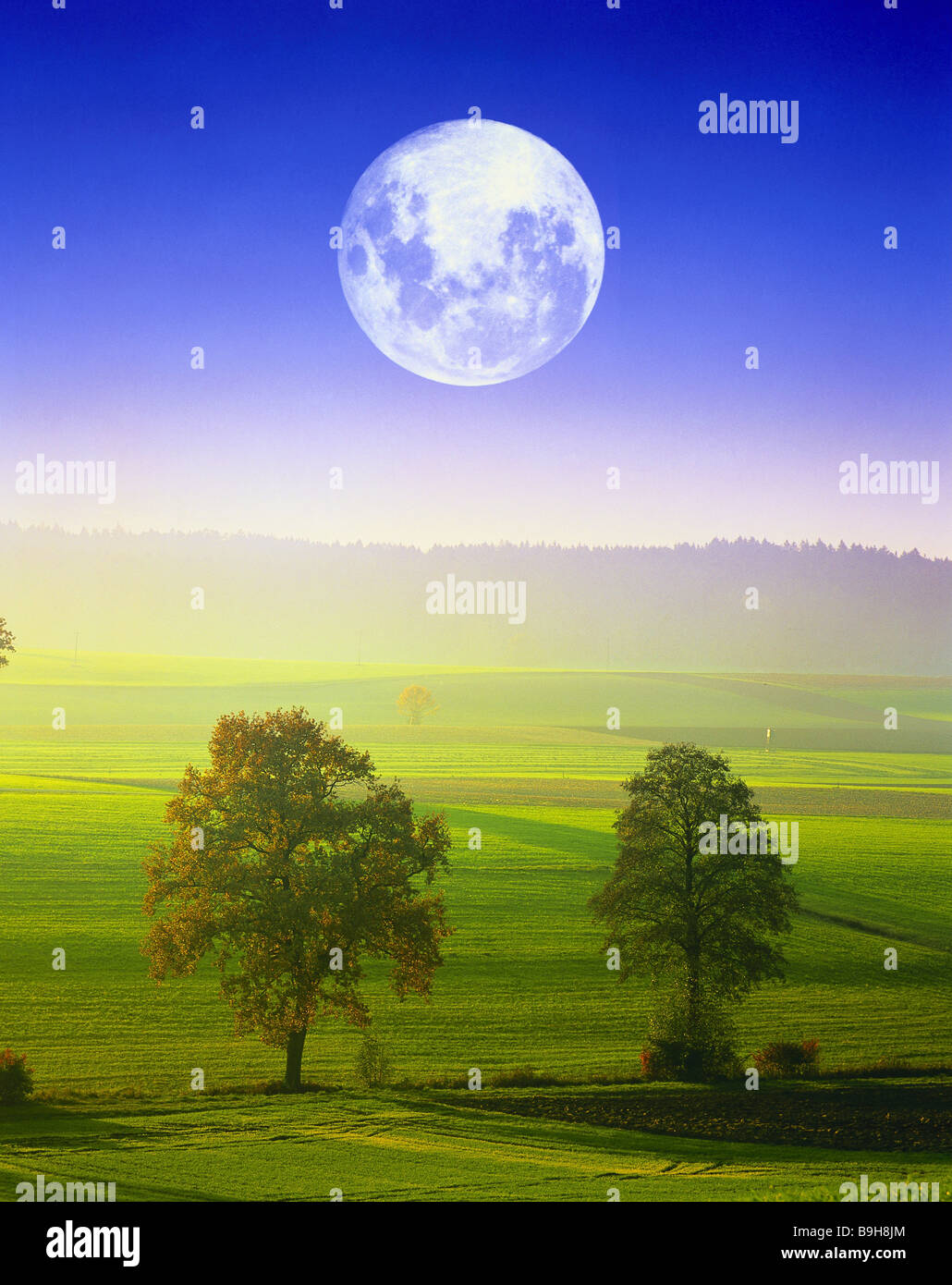 Field full moon mist hi-res stock photography and images - Alamy