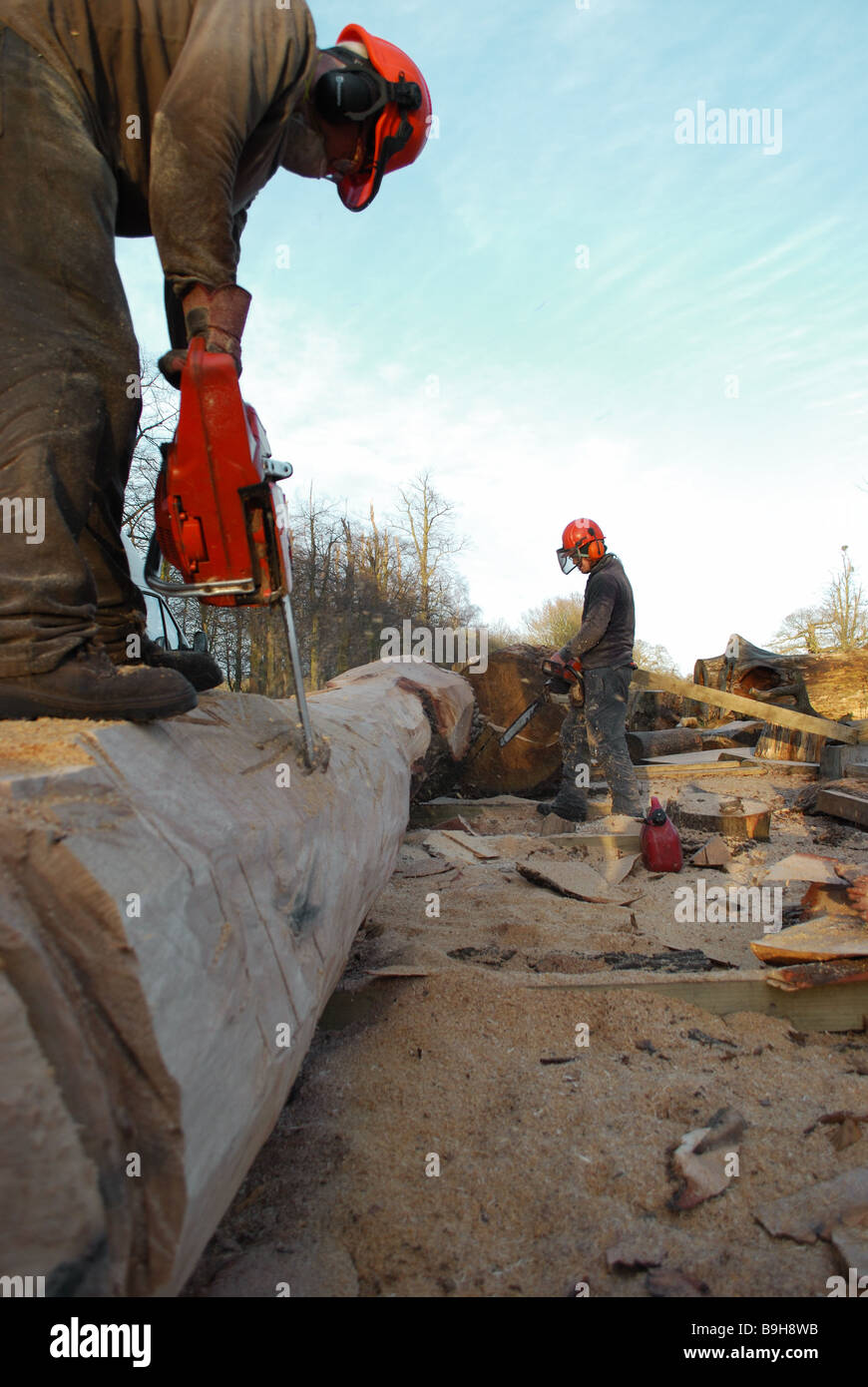People with chain saw at work Stock Photo - Alamy