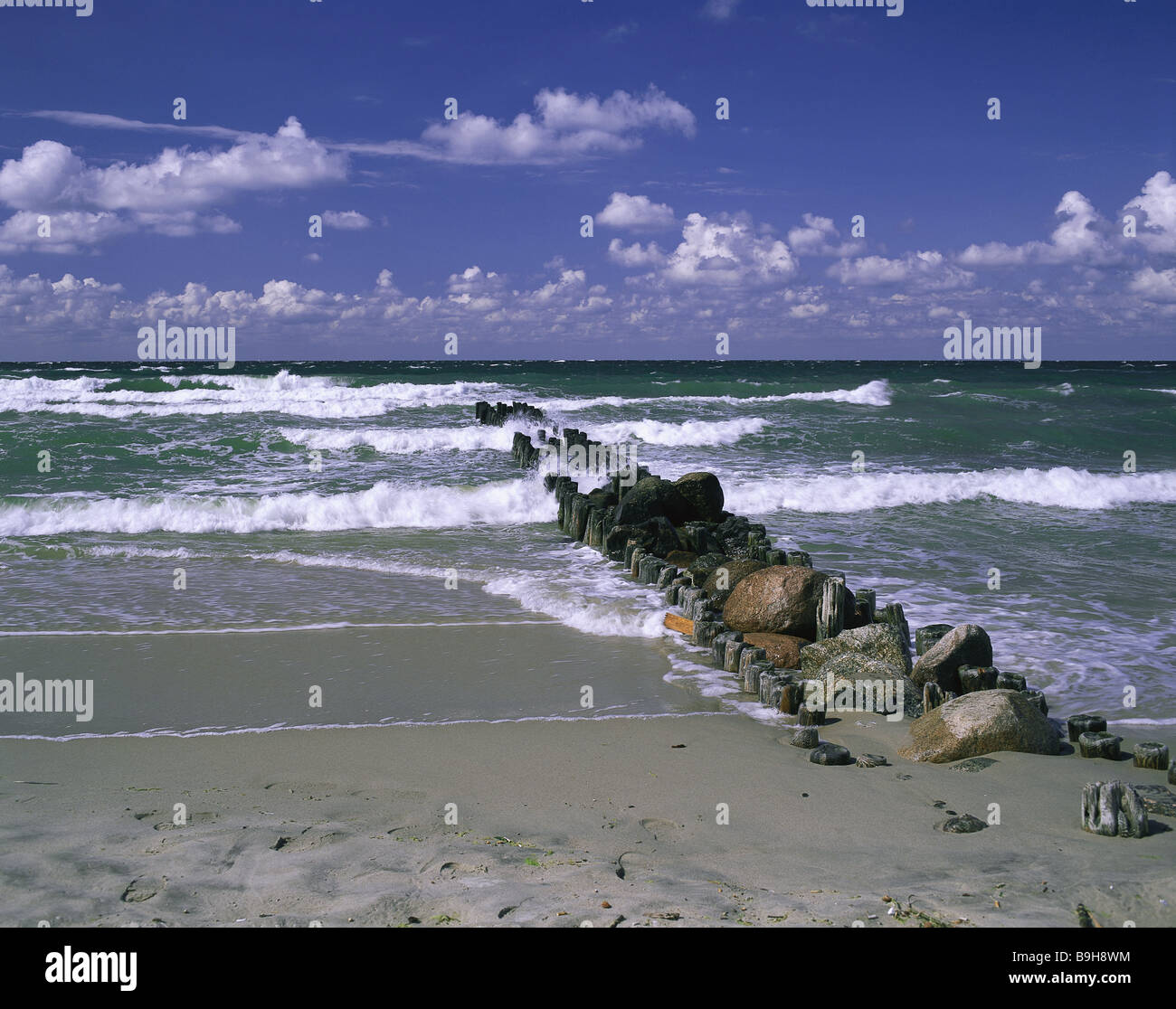 Russia courland spit baltic sea hi-res stock photography and images - Alamy