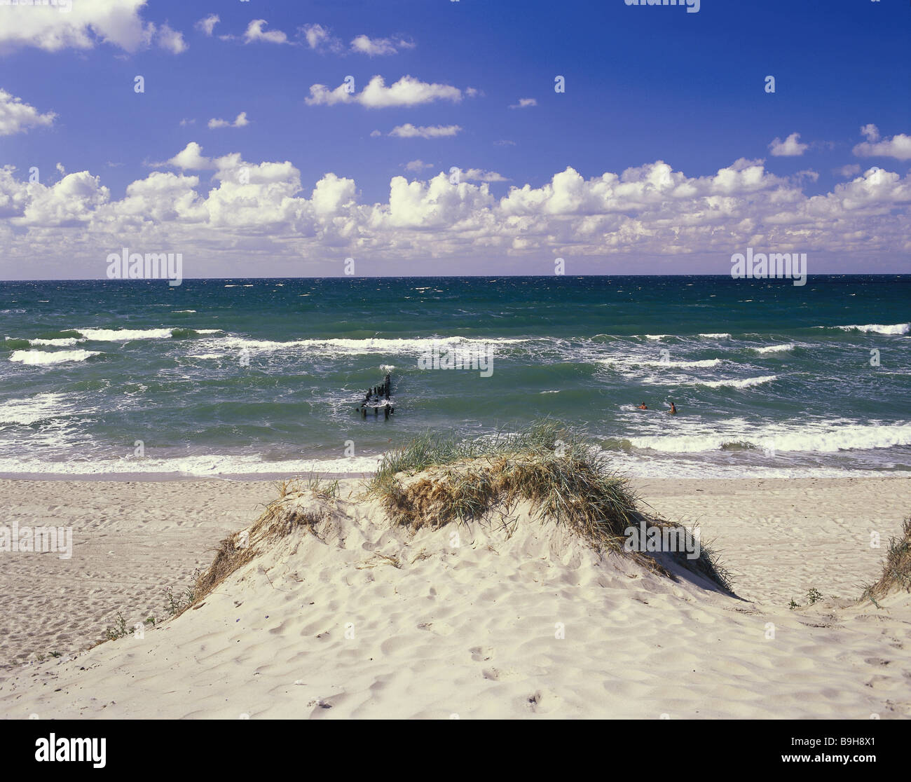Russia Courland Spit Baltic Sea Stock Photo - Alamy