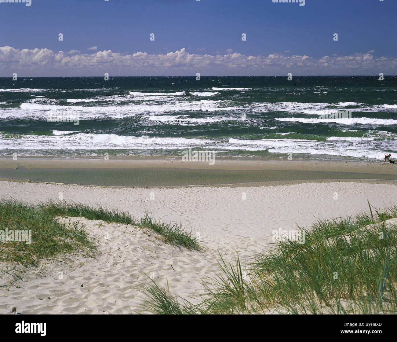 Russia courland spit baltic sea hi-res stock photography and images - Alamy