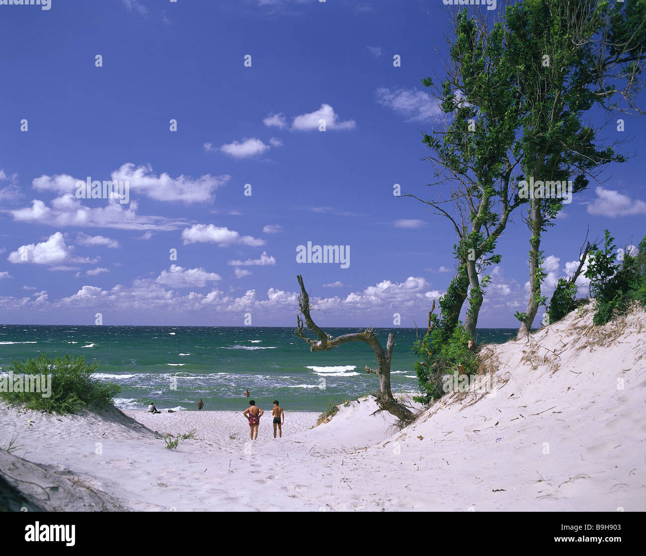Rositten hi-res stock photography and images - Alamy