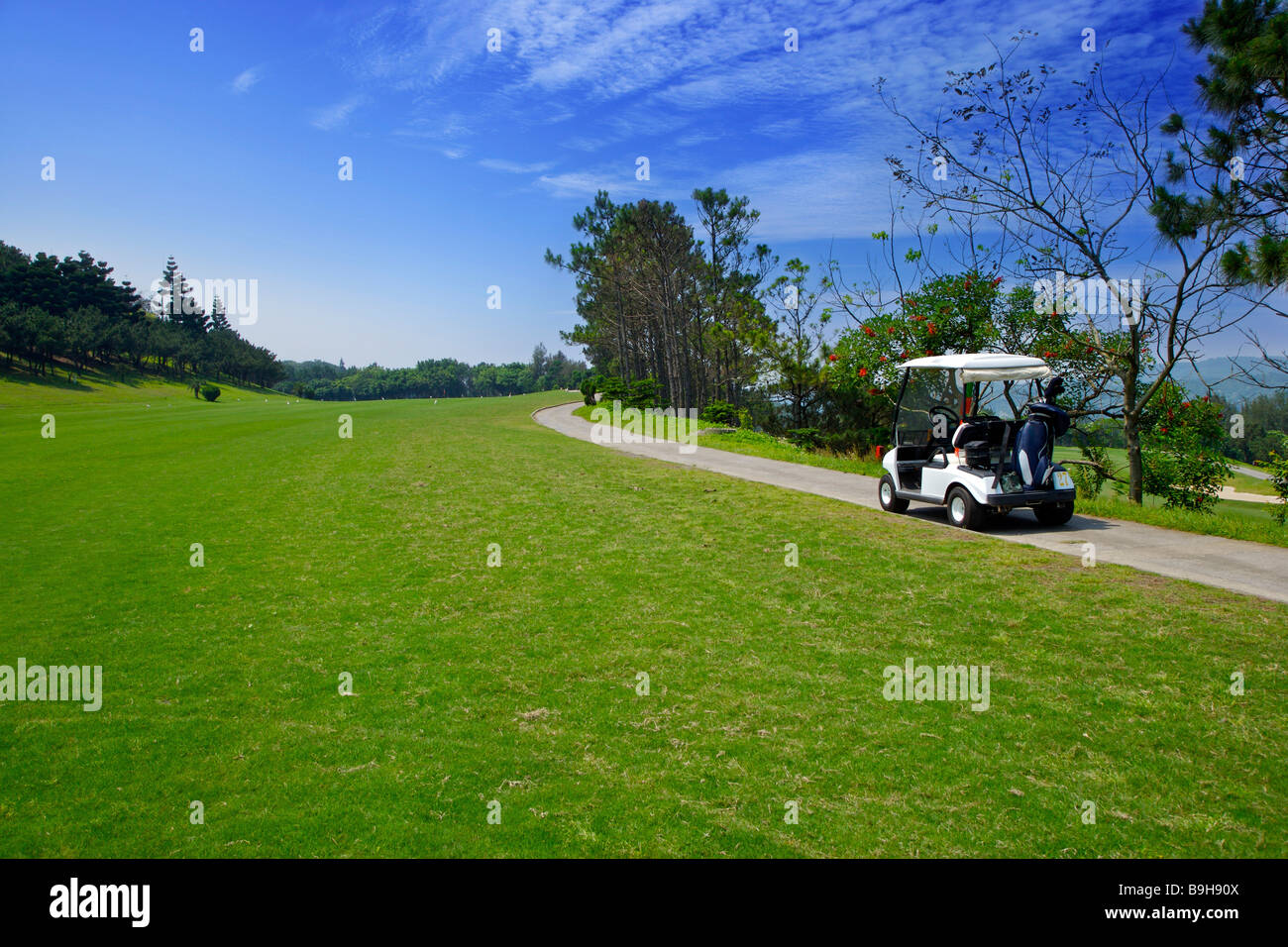 Golf cart on single lane road Stock Photo - Alamy