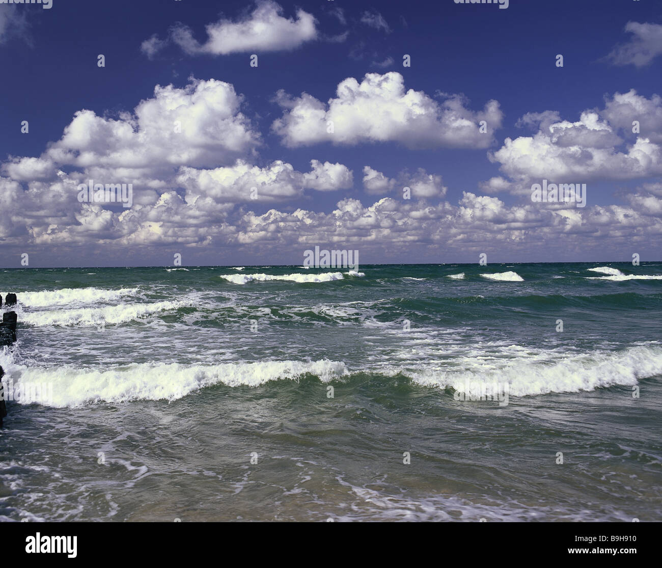 Russia courland spit baltic sea hi-res stock photography and images - Alamy