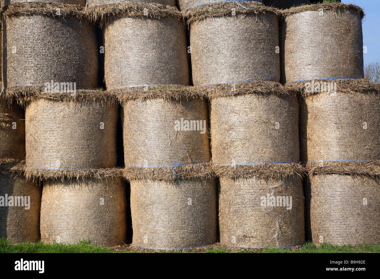 Straw bales stack in barn Stock Photo - Alamy