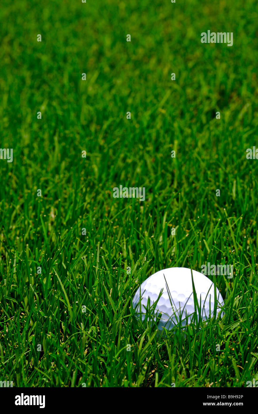 Golf ball in grass hi-res stock photography and images - Alamy