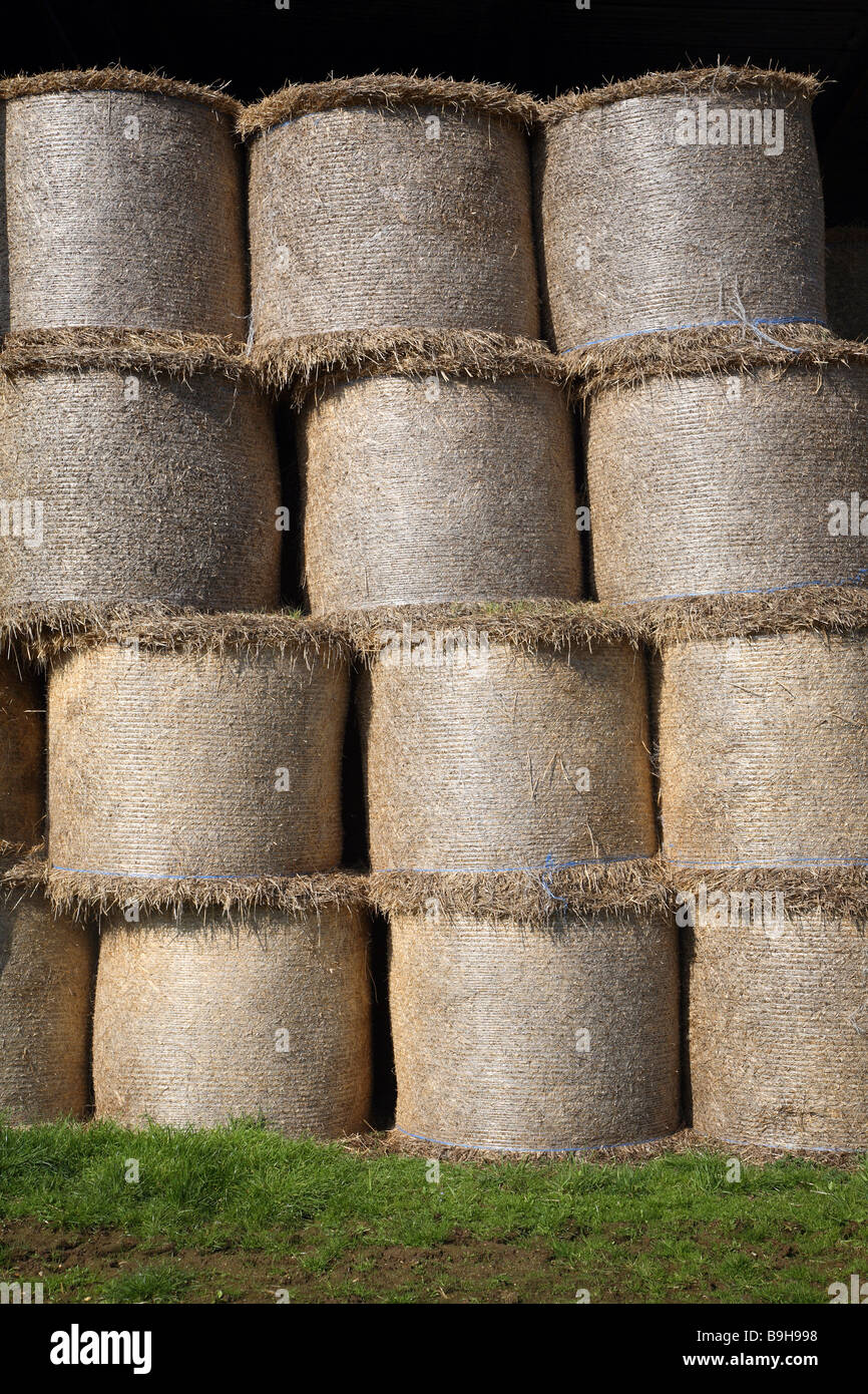Stack of round straw bales in barn Stock Photo - Alamy