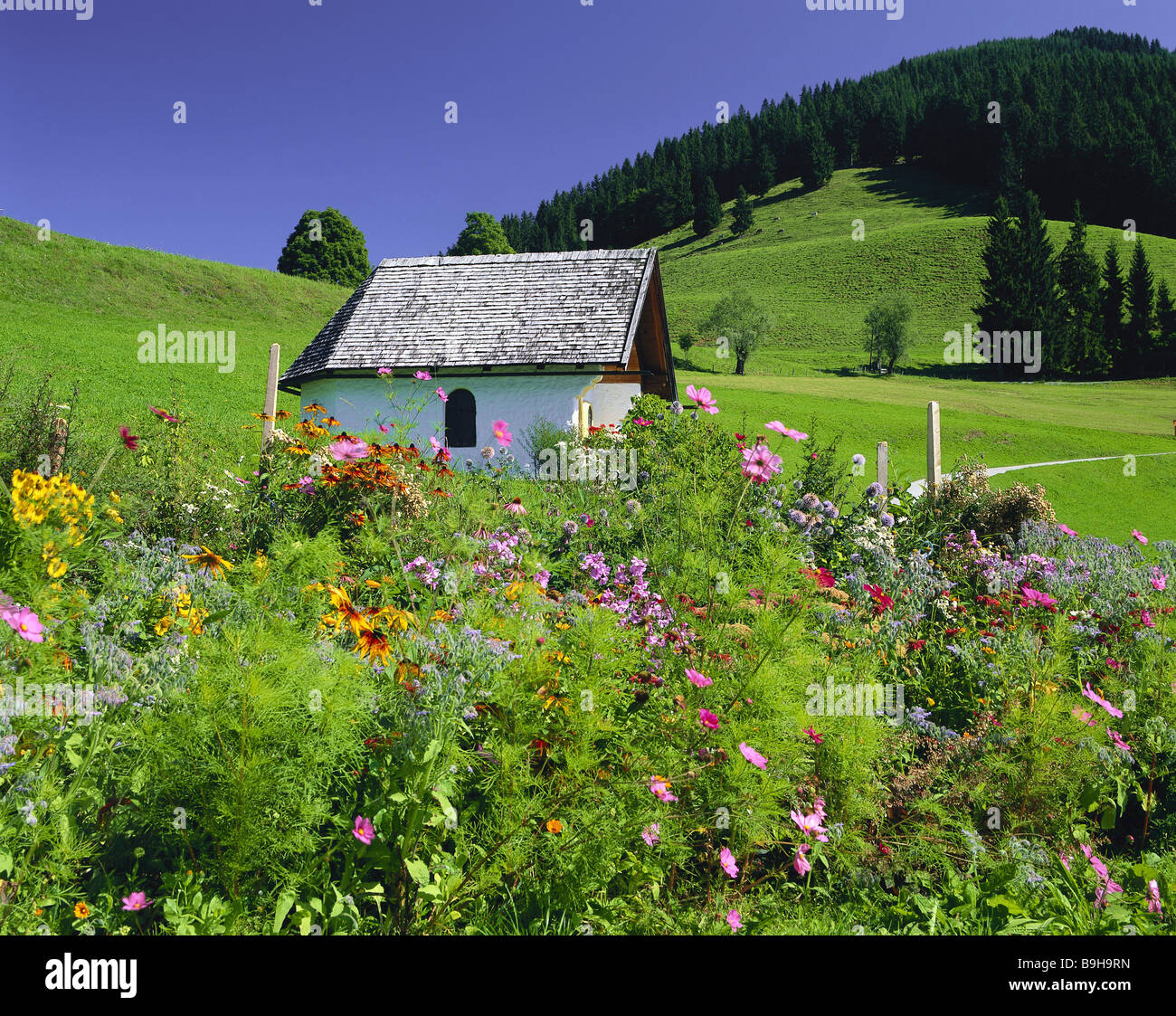 Soll austria summer hi-res stock photography and images - Alamy