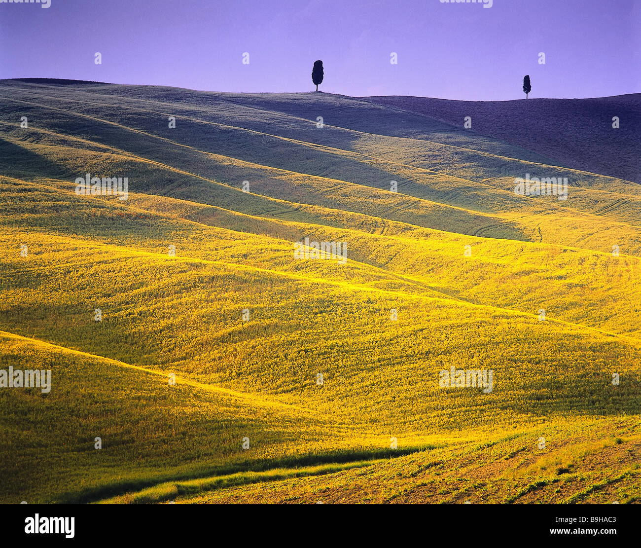 Oricatal hi-res stock photography and images - Alamy