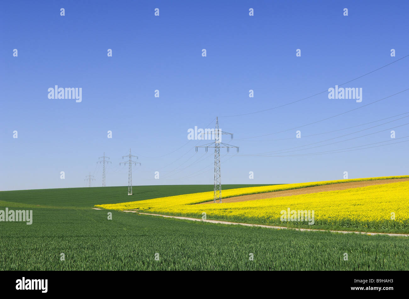 Agriculture rape-cultivation Gran-cultivation power supply Agriculture ...