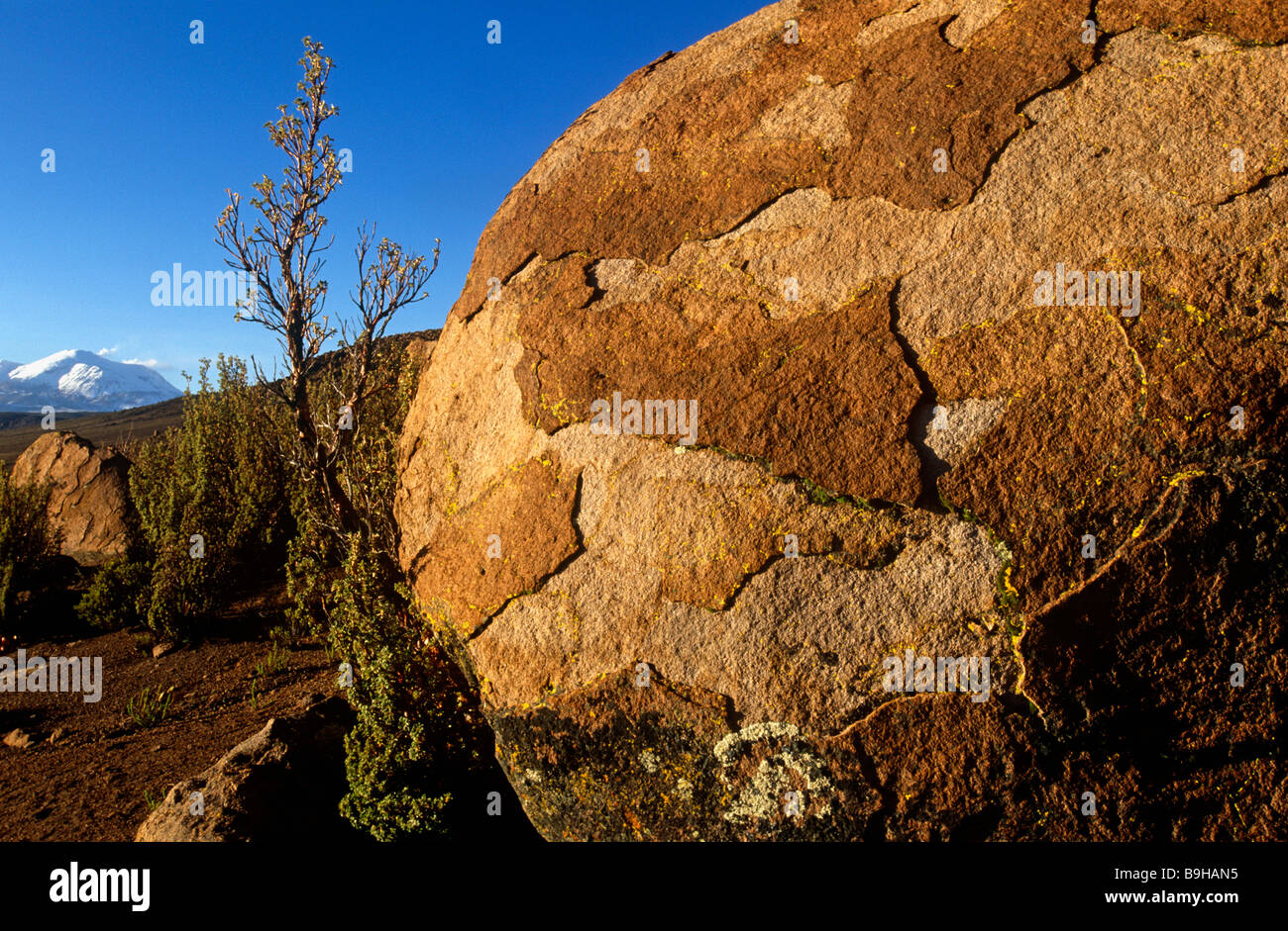 Chile, Nevados de Payachata. Exfoliating rocks near Lake Chungara in ...
